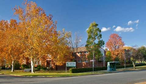 Primary School Days – Faye Schmidt's Thoughts